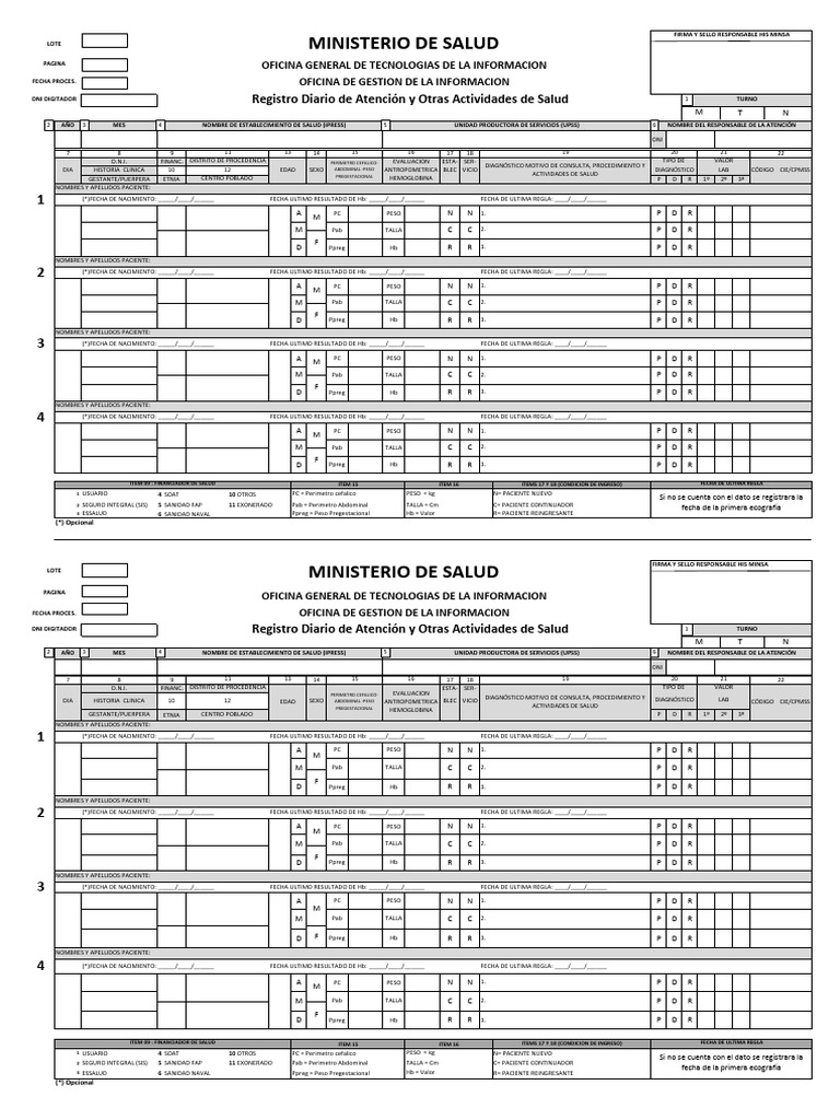 Formato His 2023 V2 | PDF | Gobierno y personalidad | Autenticación