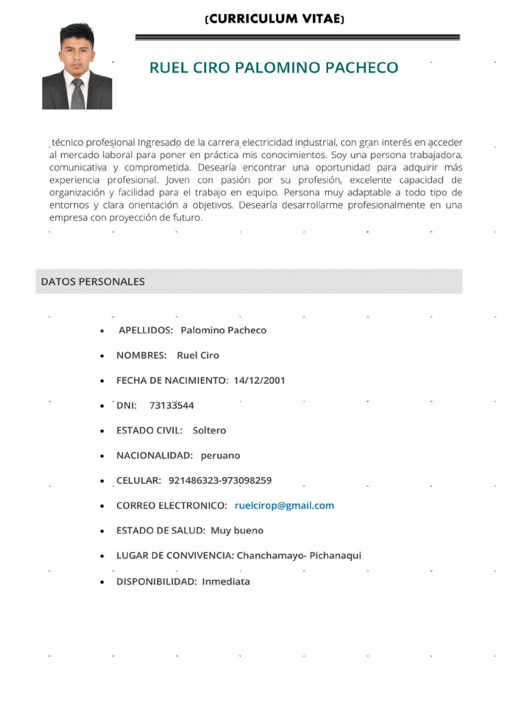 CV Ciro Pacheco Palomino 2024 | PDF