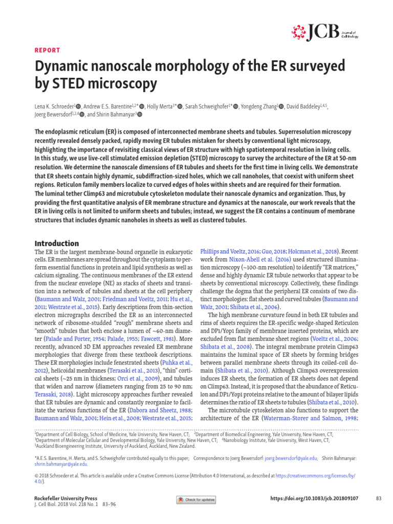 Dynamic Nanoscale Morphology of the ER Surveyed by STED Microscopy-JCB ...
