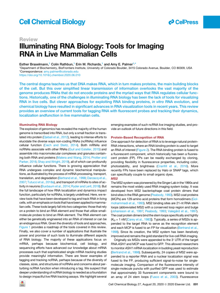 RNA Imaging Tools in Live Cells | PDF | Rna | Messenger Rna
