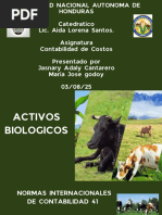 Contabilidad de Activos Biológicos NIIF | PDF | Depreciación | normas ...