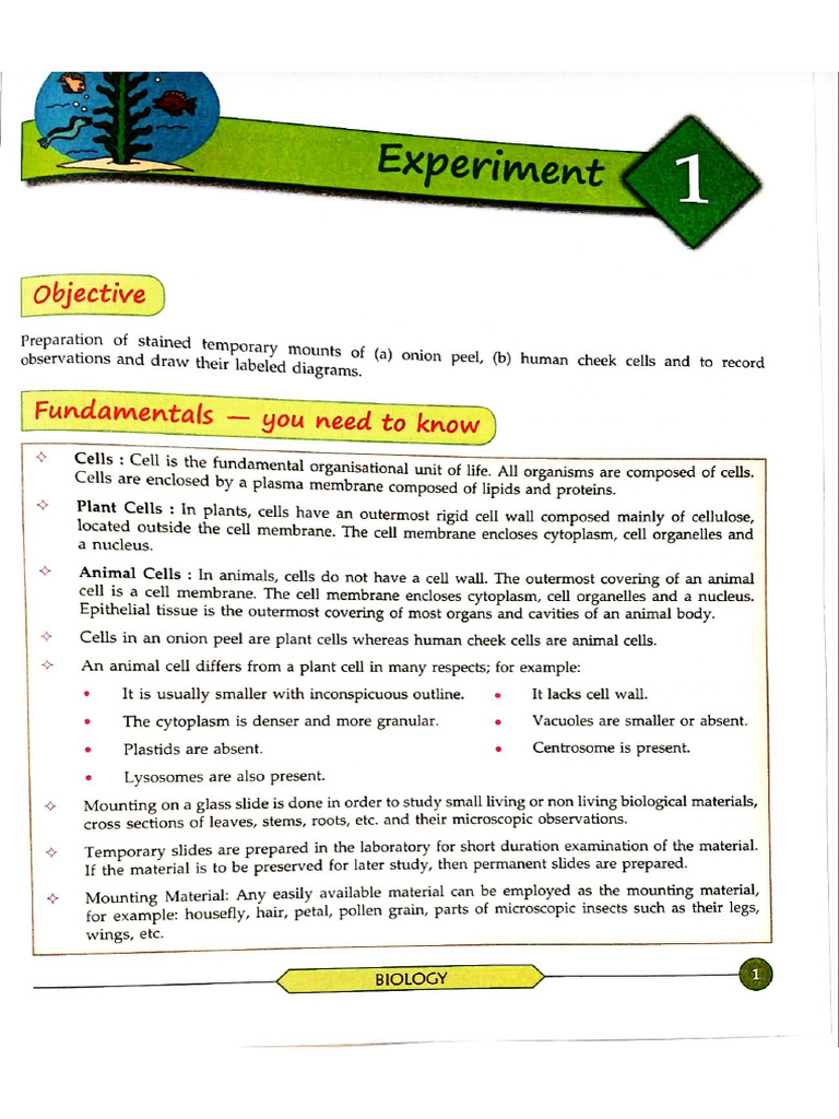 Ix Biology Practicals PDF (25-26) | PDF