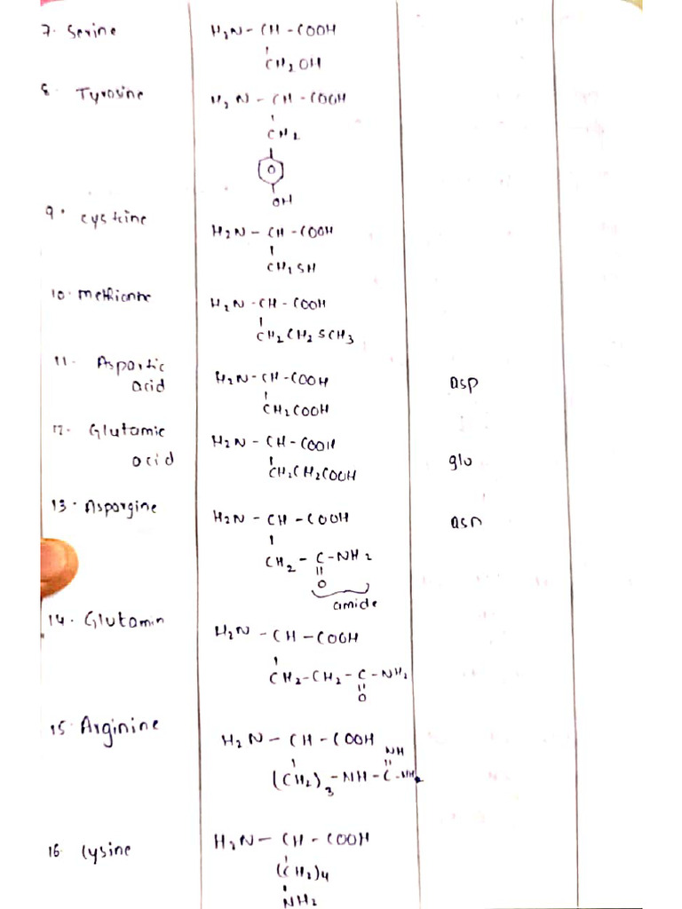 Amino Acids Table Hand Written Notes | PDF
