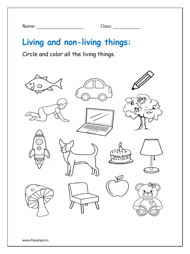 Living Things and Non Living Things Worksheet | PDF