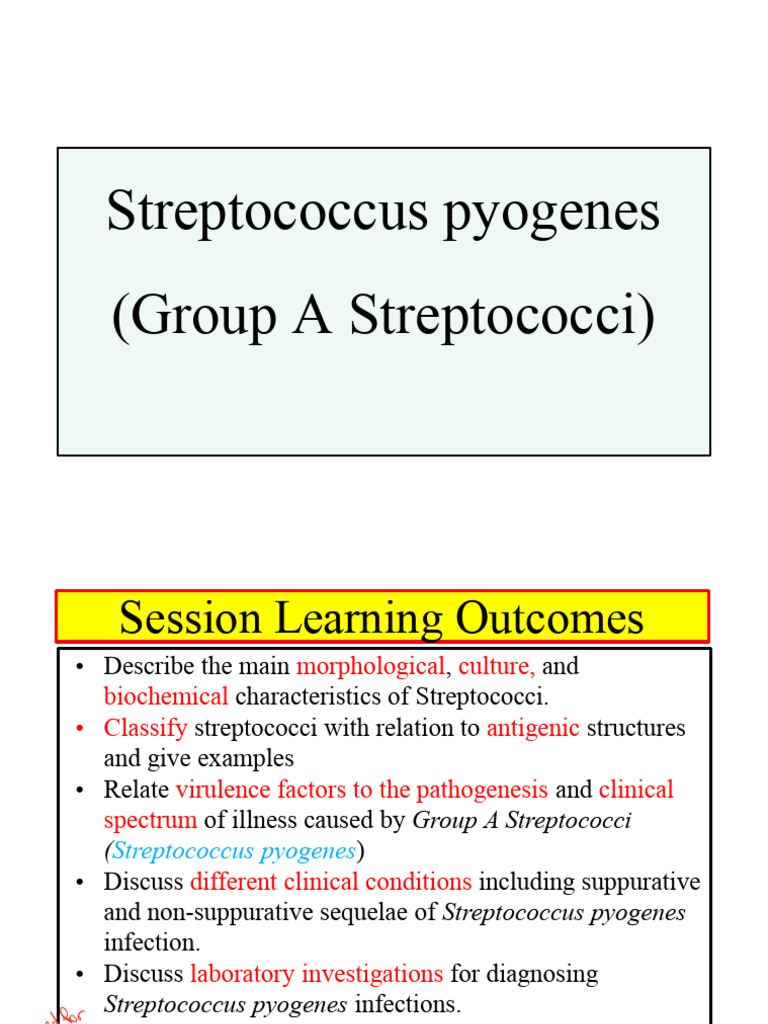 7 - Streptococcus Pyogenes | PDF | Streptococcus | Human Diseases And ...