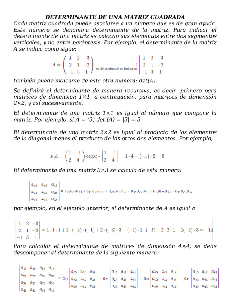 Cálculo del determinante de matrices cuadradas | PDF
