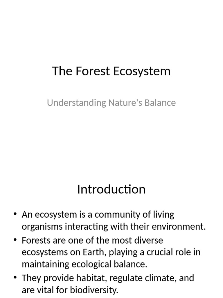Forest Ecosystem: Balance and Conservation | PDF