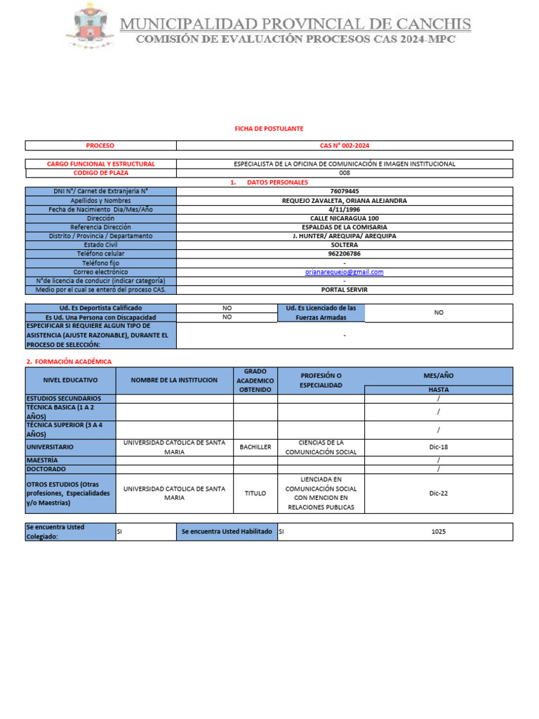 Ficha Resumen de Formación y Experiencia Laboral 1 | PDF | Marketing ...