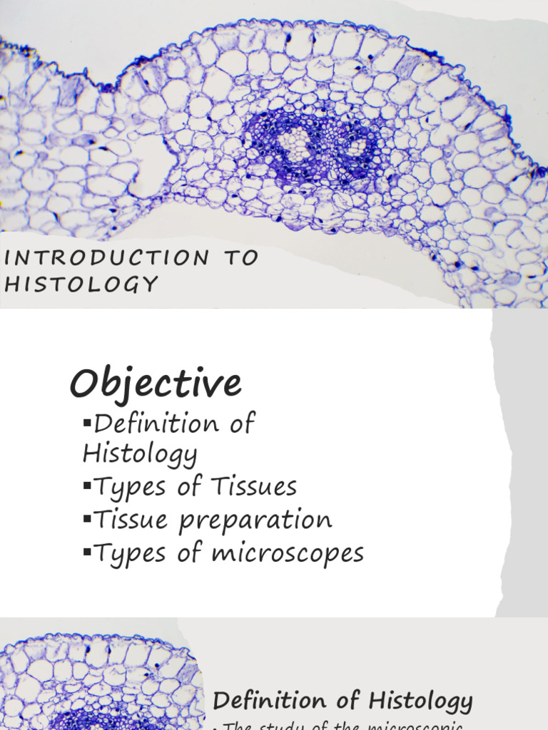 Introduction To Histology | PDF | Microscope | Histology