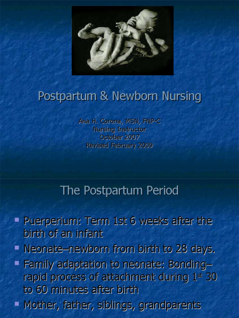 Postpartum Physical Assessment | Download Free PDF | Infants | Childbirth