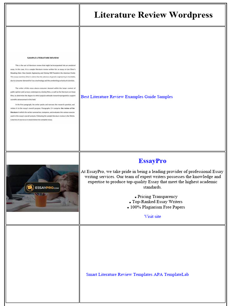Literature Review Wordpress | PDF | Essays | Thesis