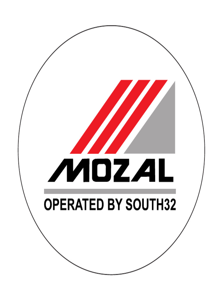 Mozal Pins | PDF