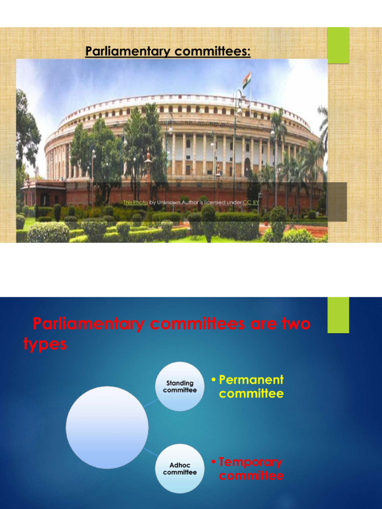 Parliamentary Committees | PDF