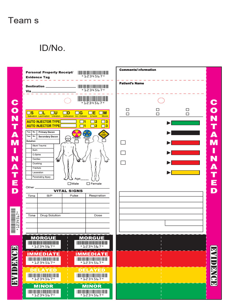 Mci Triage Checklist 2023 Pdf Emergency Medical Services Ambulance