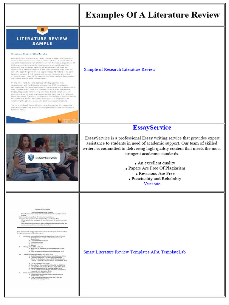 Examples of A Literature Review | PDF | Thesis | Essays