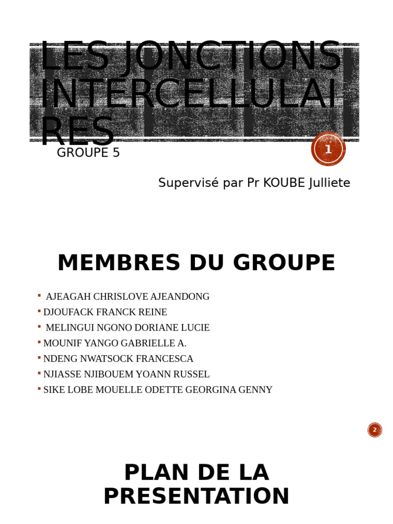 Jonctions intercellulaires : types et pathologies | PDF | Morphologie ...