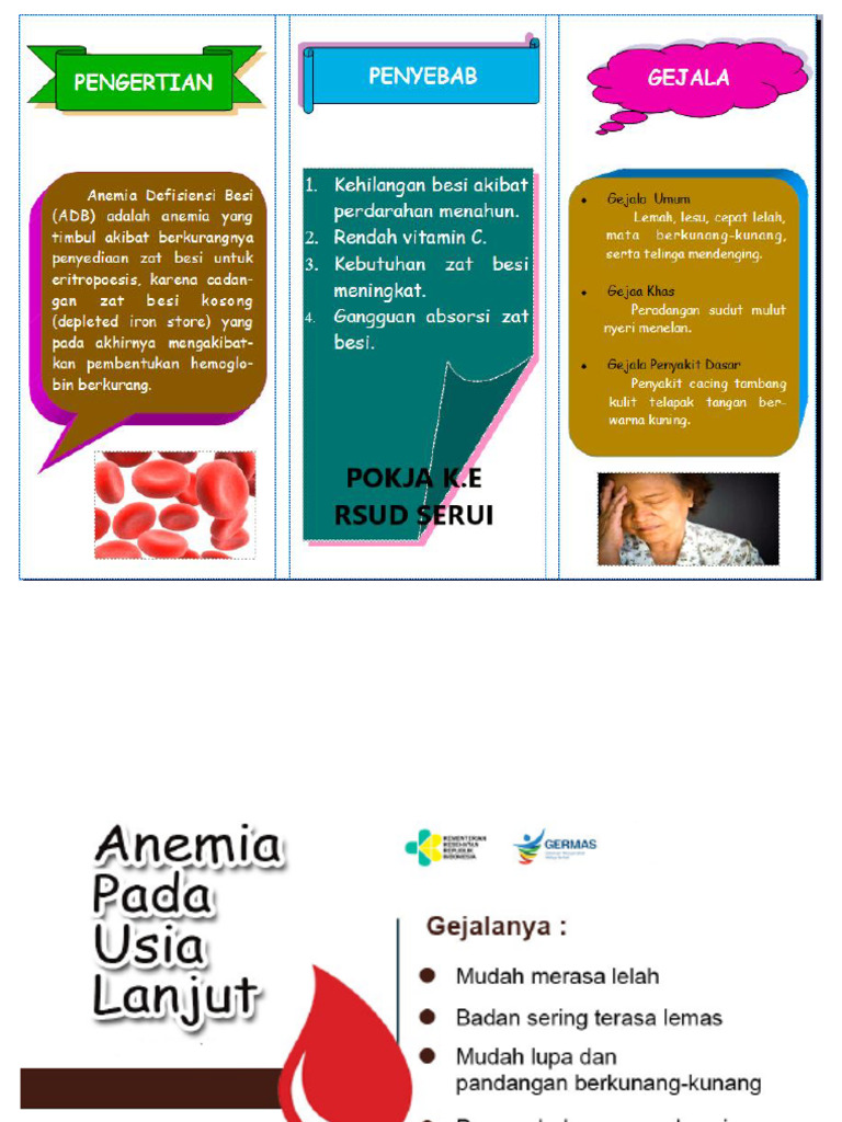 Ke.2.d.1. Leaflet Anemia | PDF
