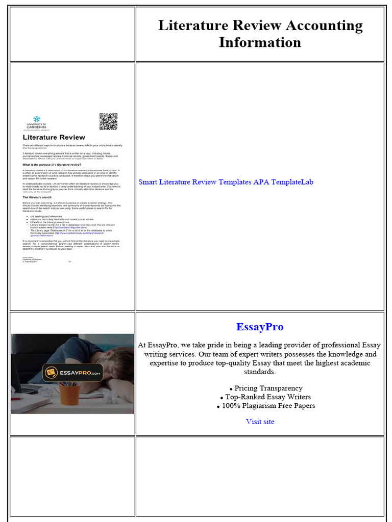 Literature Review Accounting Information | PDF | Accounting | Essays