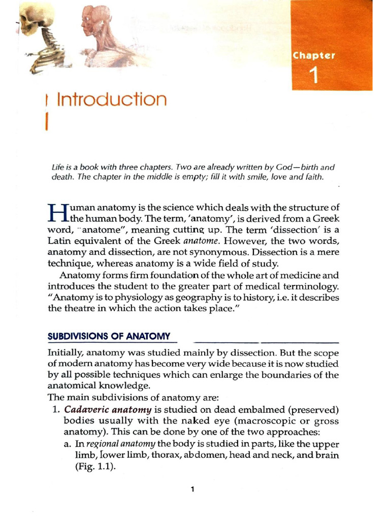 Subdivisions of Human Anatomy | PDF | Anatomical Terms Of Motion ...