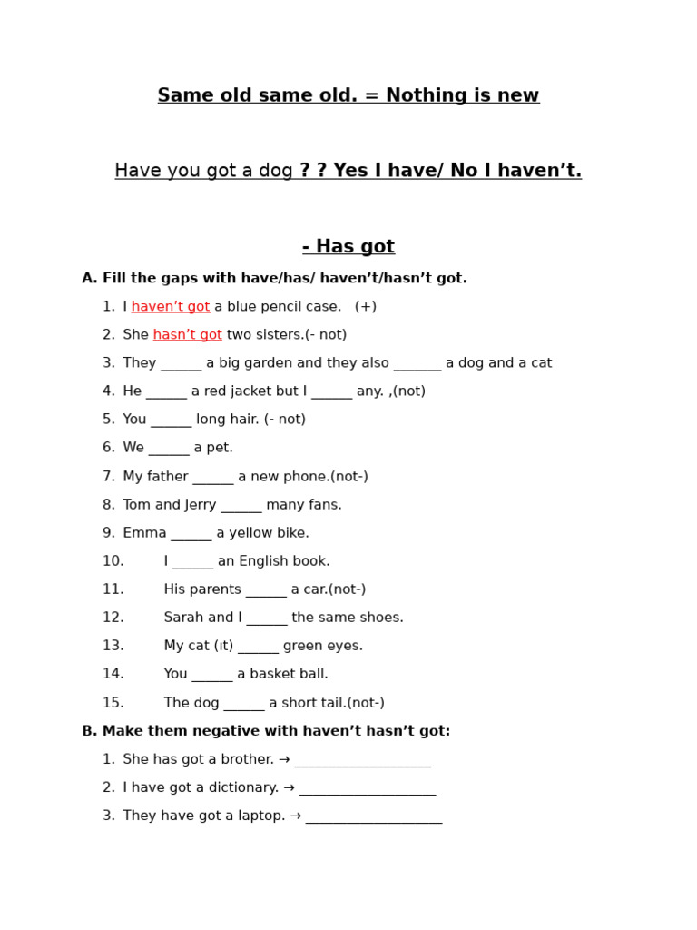 Have/Has Got Appearance Worksheet | PDF | Grammar | Linguistics