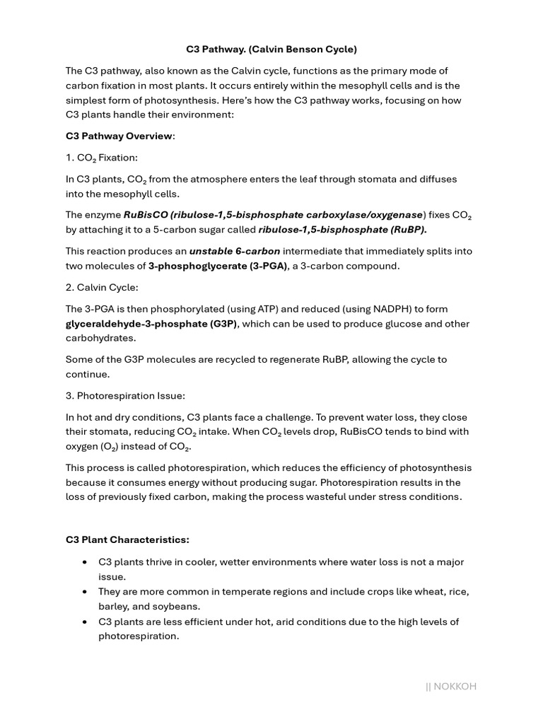 Note On Photosynthesis and Transpiration | PDF | Stoma | Photochemistry