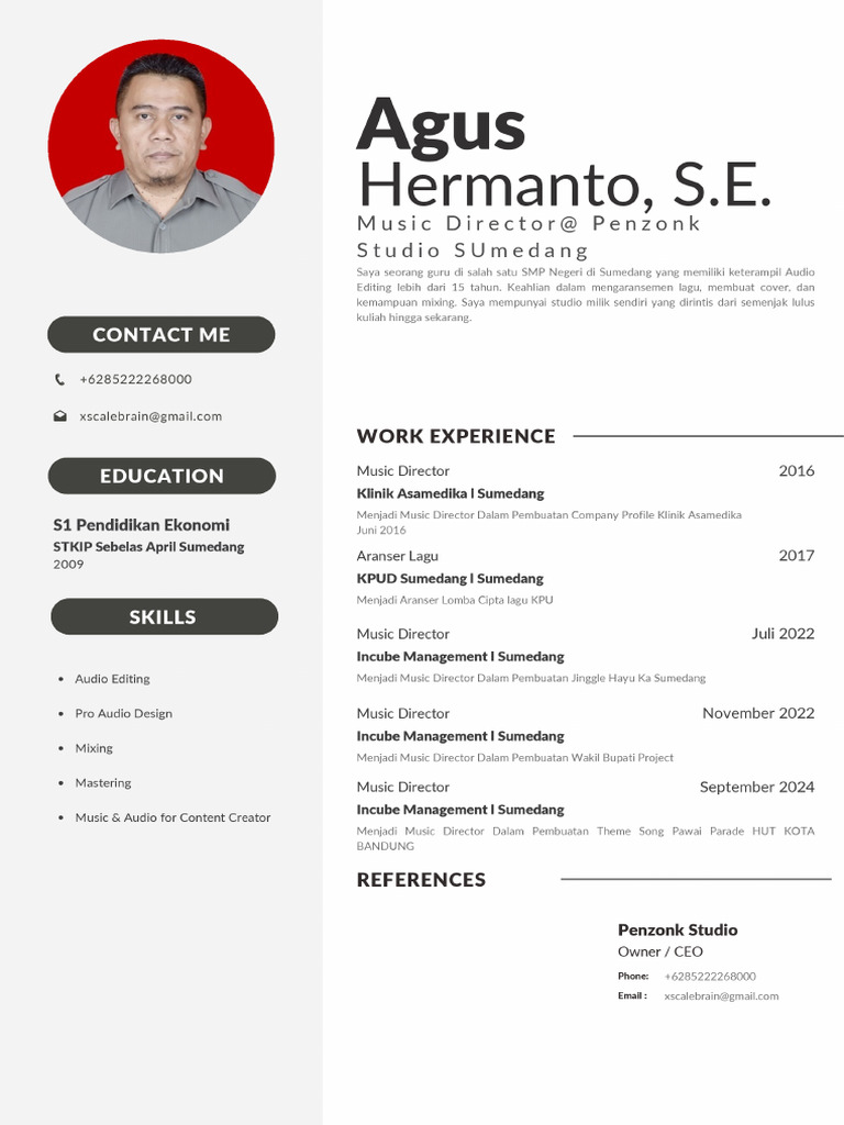 Professional CV Resume | PDF