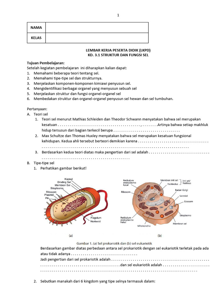 Struktur dan Fungsi Sel: LKPD Siswa | PDF