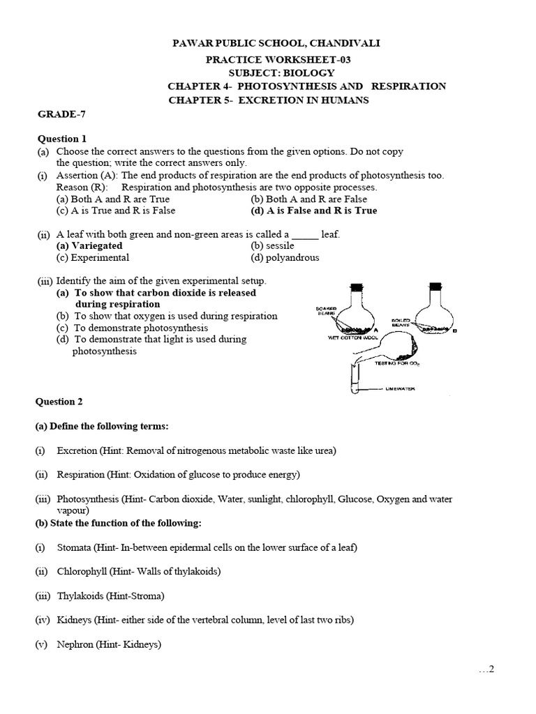 Grade 7 July Bio PW03 | PDF | Biology | Kidney