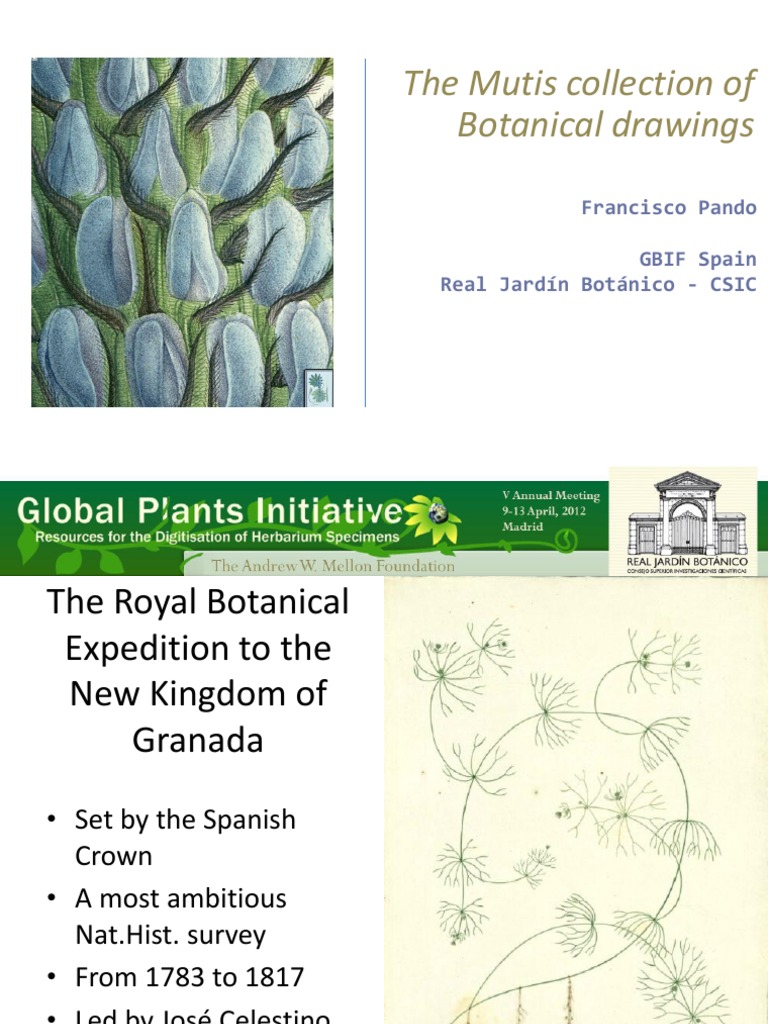 The Mutis Collection of Botanical Drawings | PDF | Image Scanner | Imaging