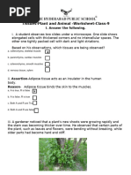 Tissues Assignments | PDF | Tissue (Biology) | Connective Tissue