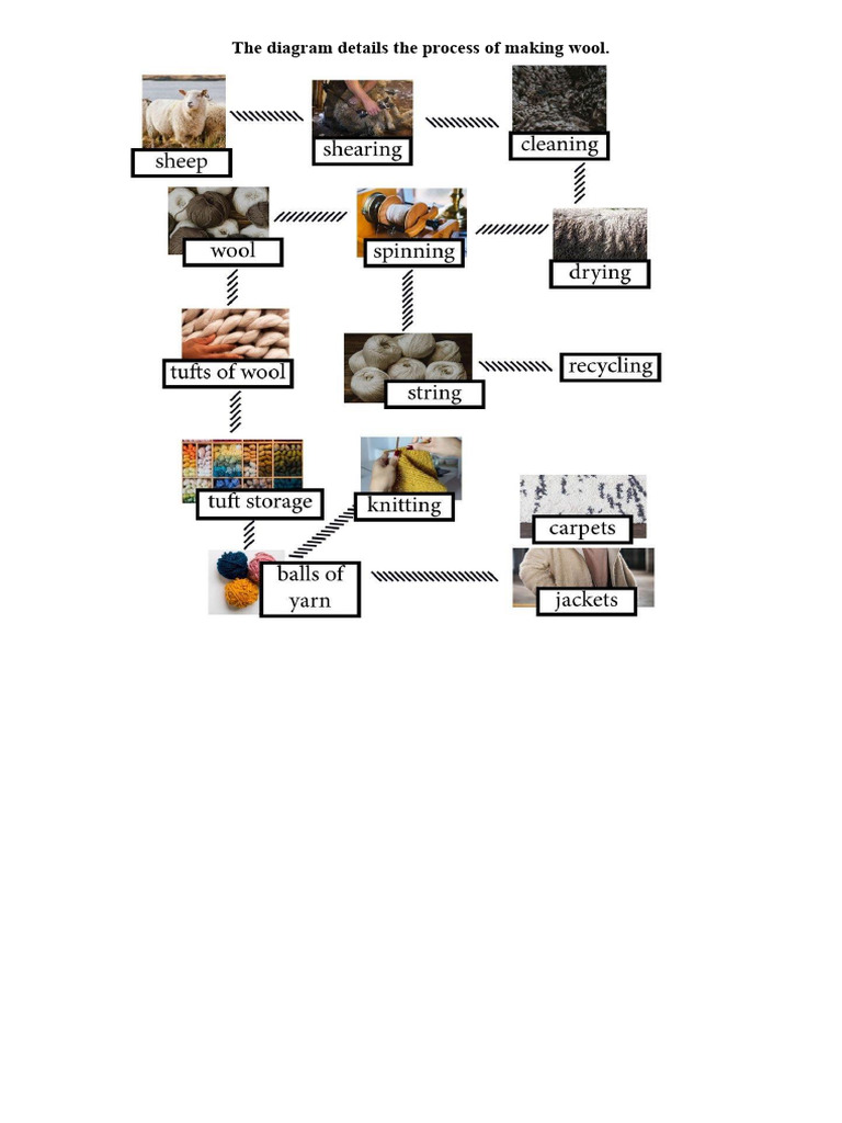 The Diagram Details The Process of Making Wool | PDF | Wool | Spinning ...