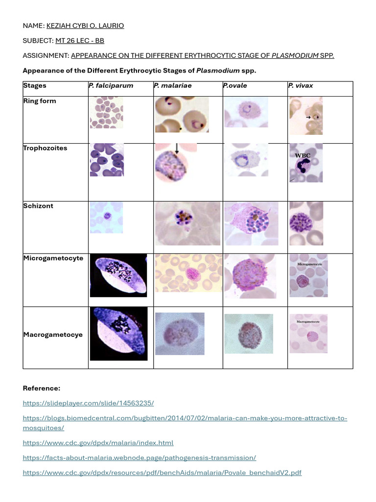 Parasito Lec Assignment 2 | PDF