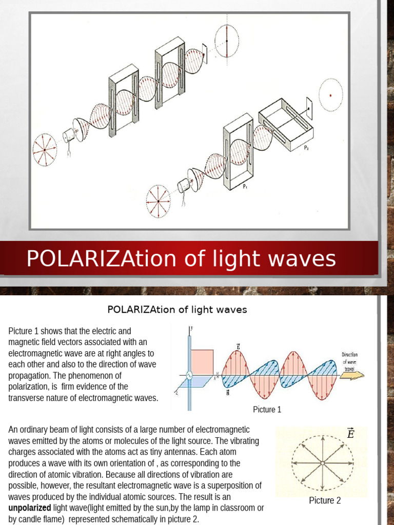 Polarization of Light Waves | PDF | Polarization (Waves) | Waves