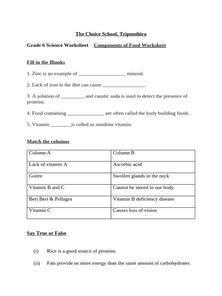Components of Food Worksheet | PDF | Vitamin | Foods