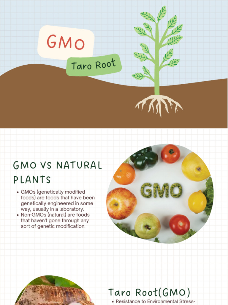 Plants and Their Systems Science Presentation in Light Brown Light Blue ...