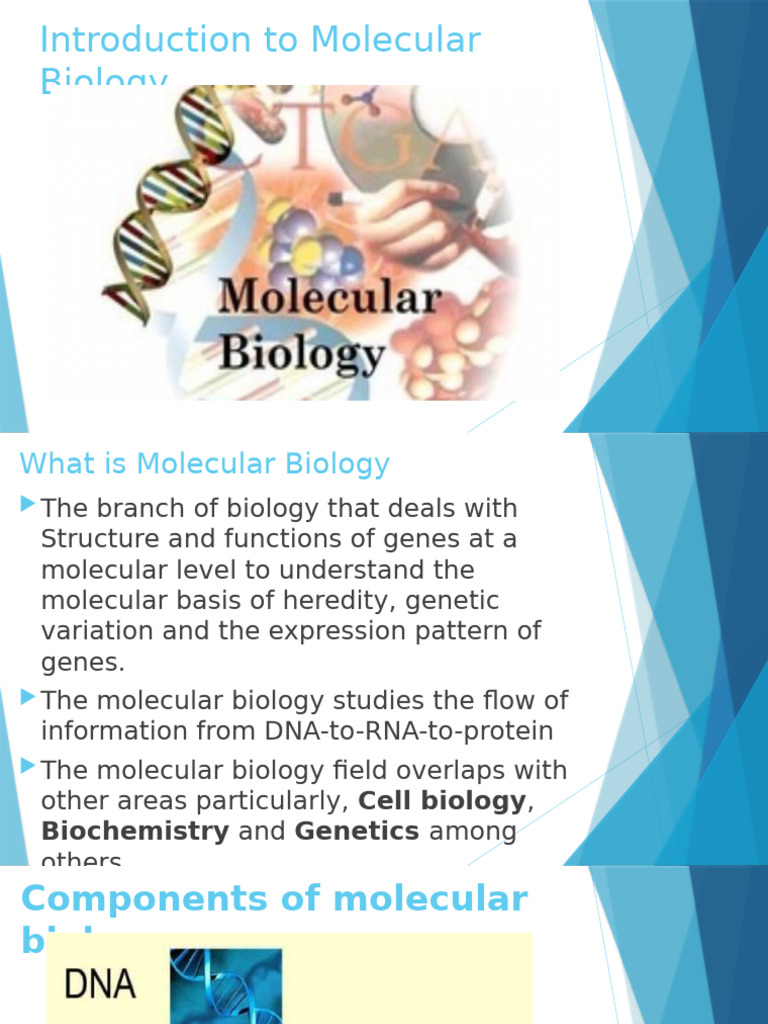 Nucleic Acids Biochemistry-Molecular Microbiolgy | PDF | Rna | Nucleotides