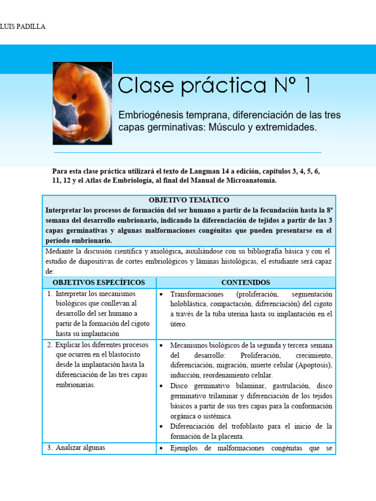 Morfo I, Clase Practica 1 2025 | PDF | Fertilización | Embrión