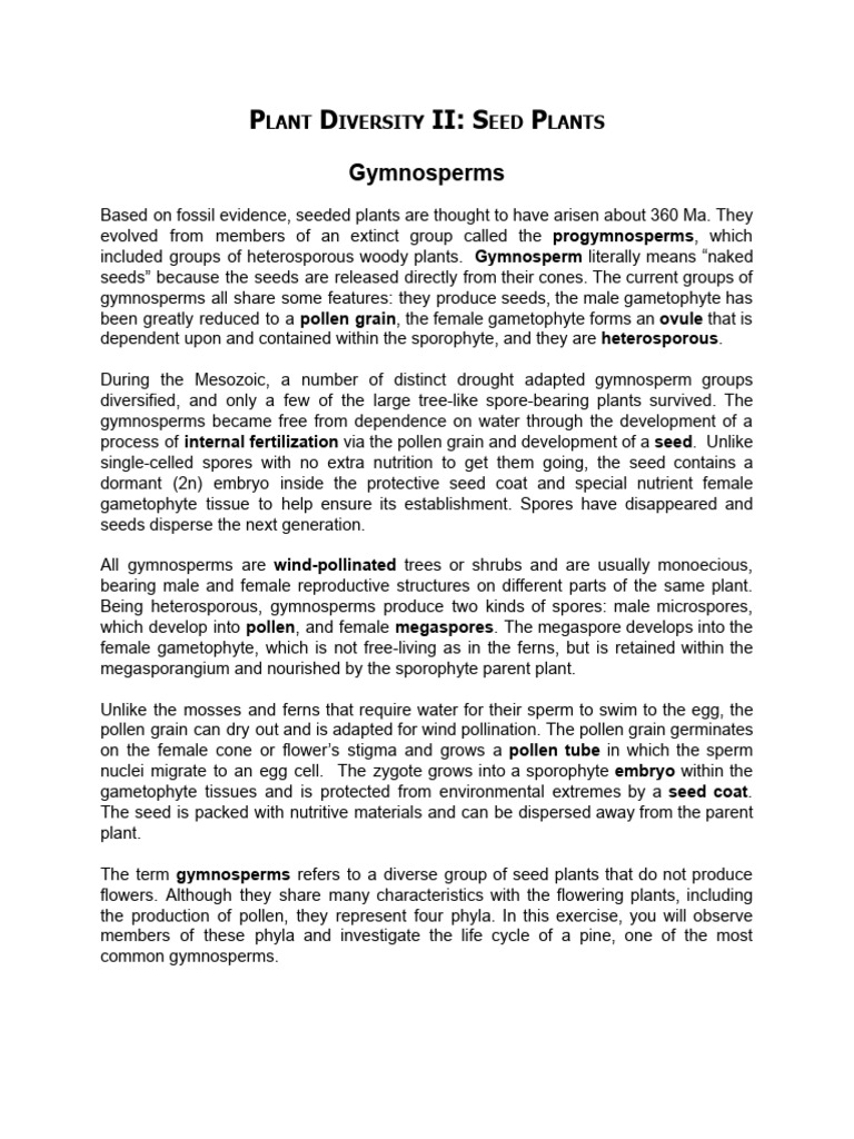 19 - Plant Diversity II Seed Plants F24.Docx | PDF | Seed | Reproduction