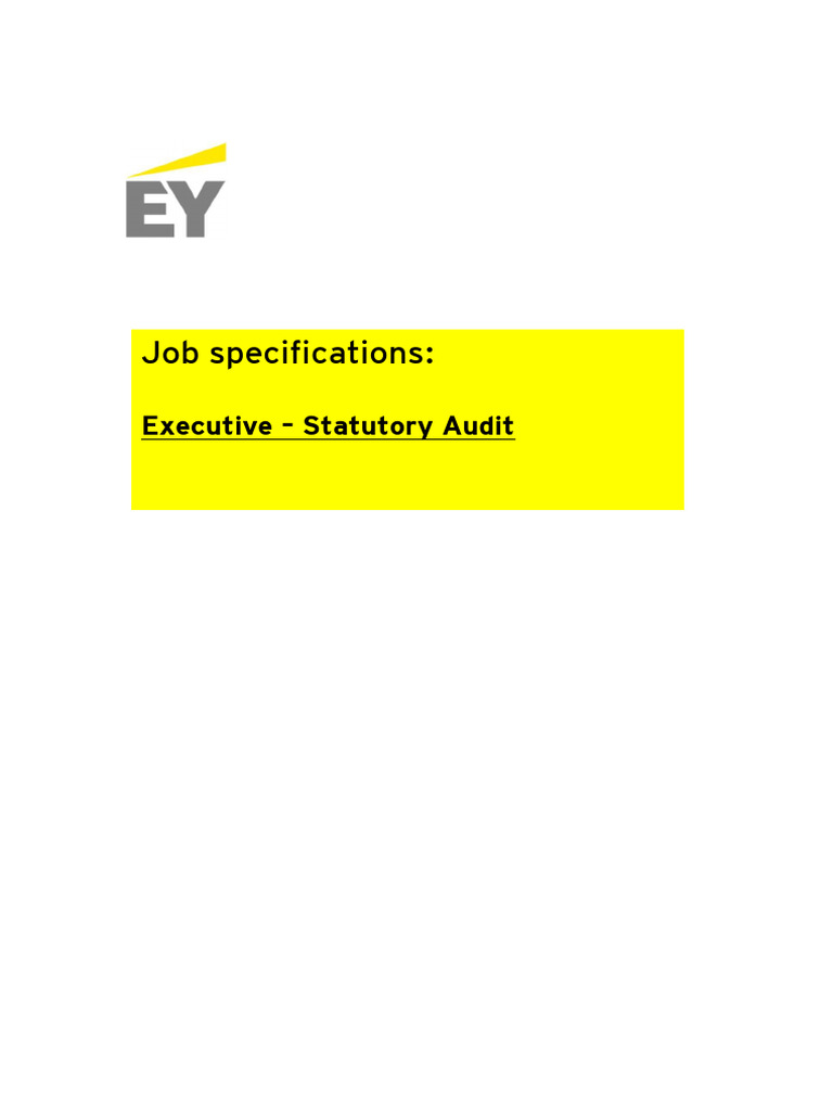 Executive Statutory Audit | PDF | Audit | Business