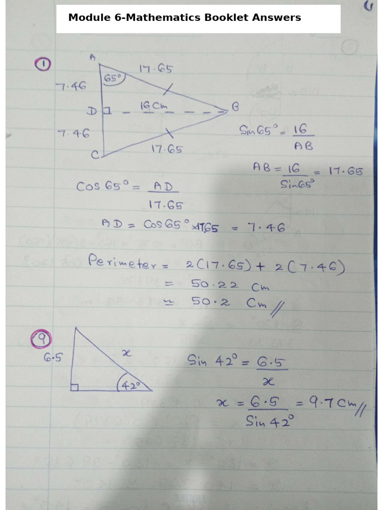 Master OL Mathematics Module 6-Booklet ms | PDF