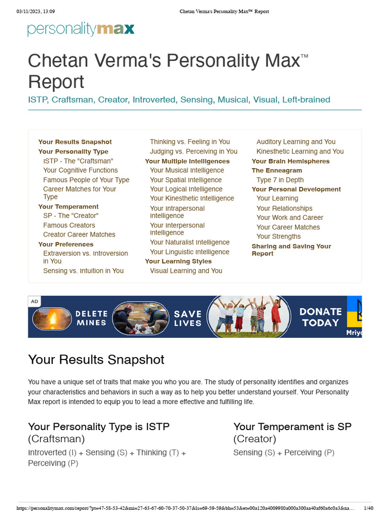 Chetan Verma's Personality Max™ Report | PDF | Personality Type ...