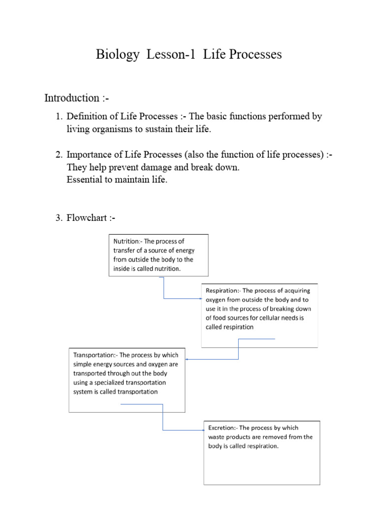 Life Processes Notes | PDF