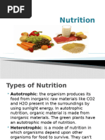 Caribbean Food Groups Overview | PDF