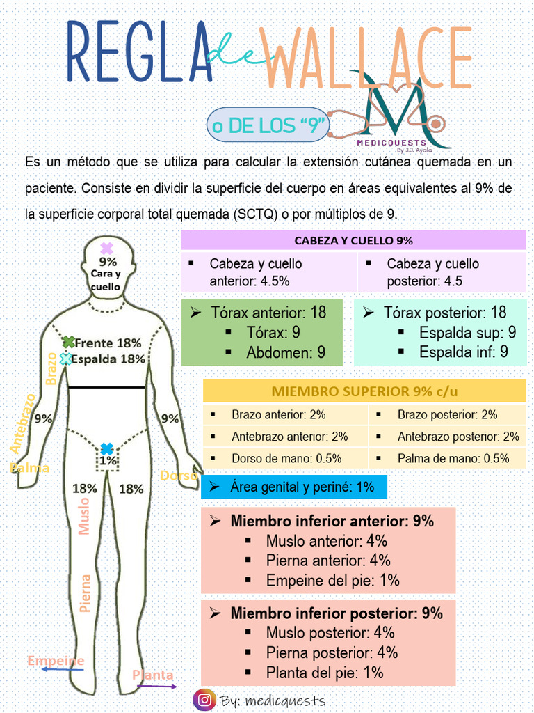 Regla de Wallace para Quemaduras | PDF | Anatomía humana | Anatomía de ...