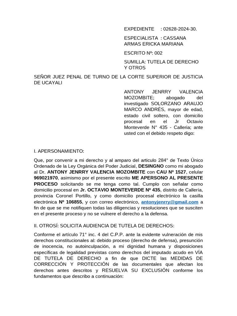 Tutela de Derecho y Otros Solorzano Araujo Marco Andrés | PDF | Debido ...