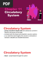 XenoSure - Brochure - M0236 Rev. T-1 | PDF | Surgical Suture | Heart