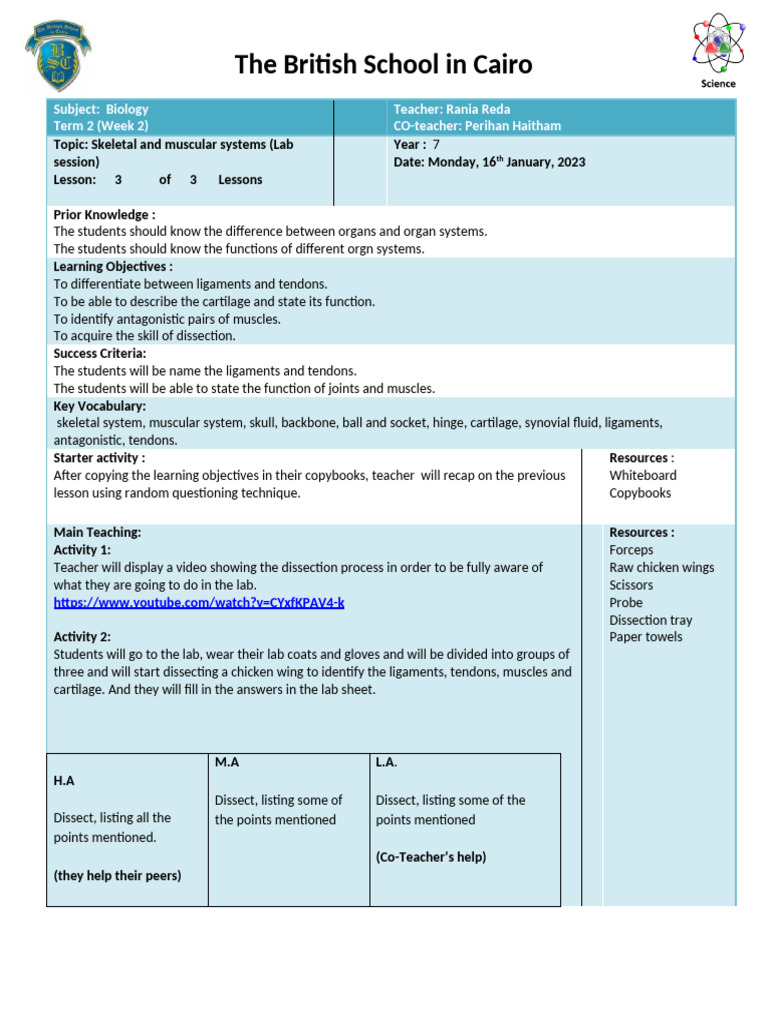 Skeletal and Muscular System Lab Session L1 (Term 2 Week 2) . | PDF ...