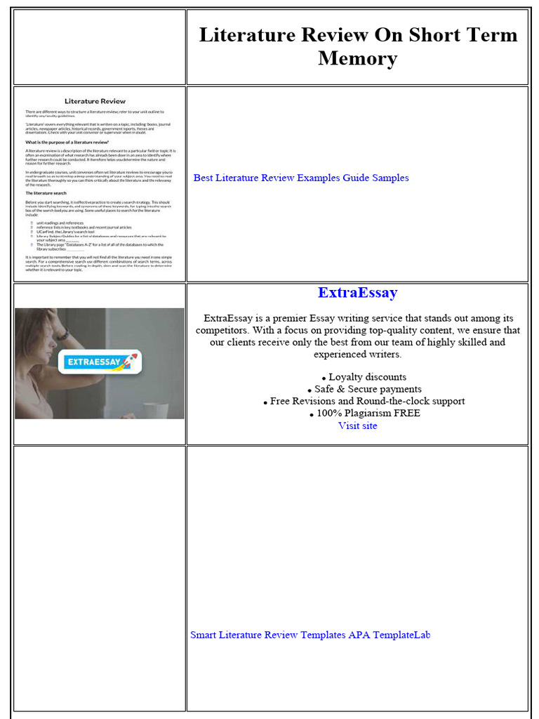 Literature Review on Short Term Memory | PDF | Systematic Review | Essays