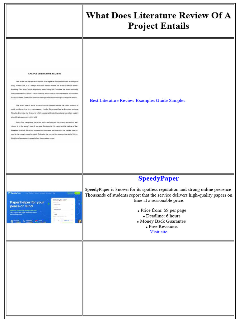 What Does Literature Review of A Project Entails | PDF | Essays | Thesis