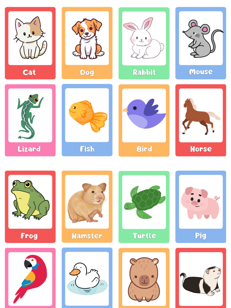 Pets & Pronouns Flashcards | PDF